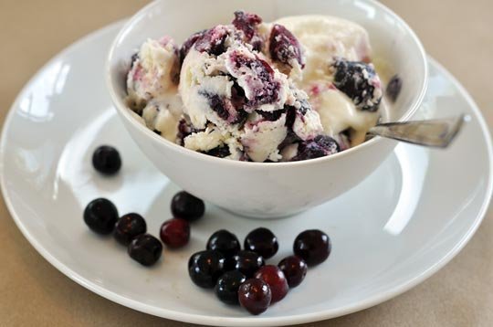 Homemade Coconut Milk Ice Cream - Nethersprings